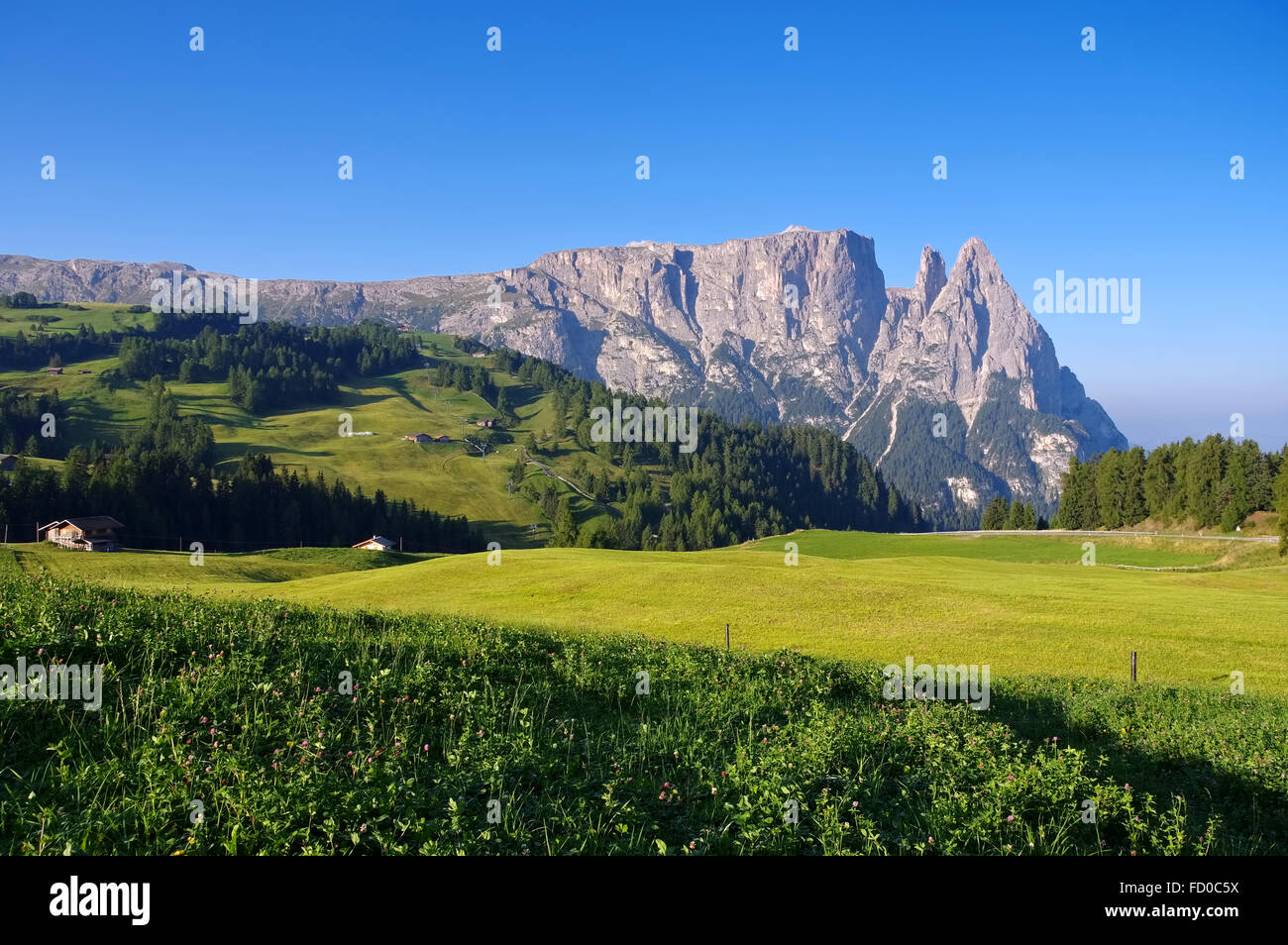 der Berg Schlern in Südtirol, italienische Dolomiten - mountain Schlern ...
