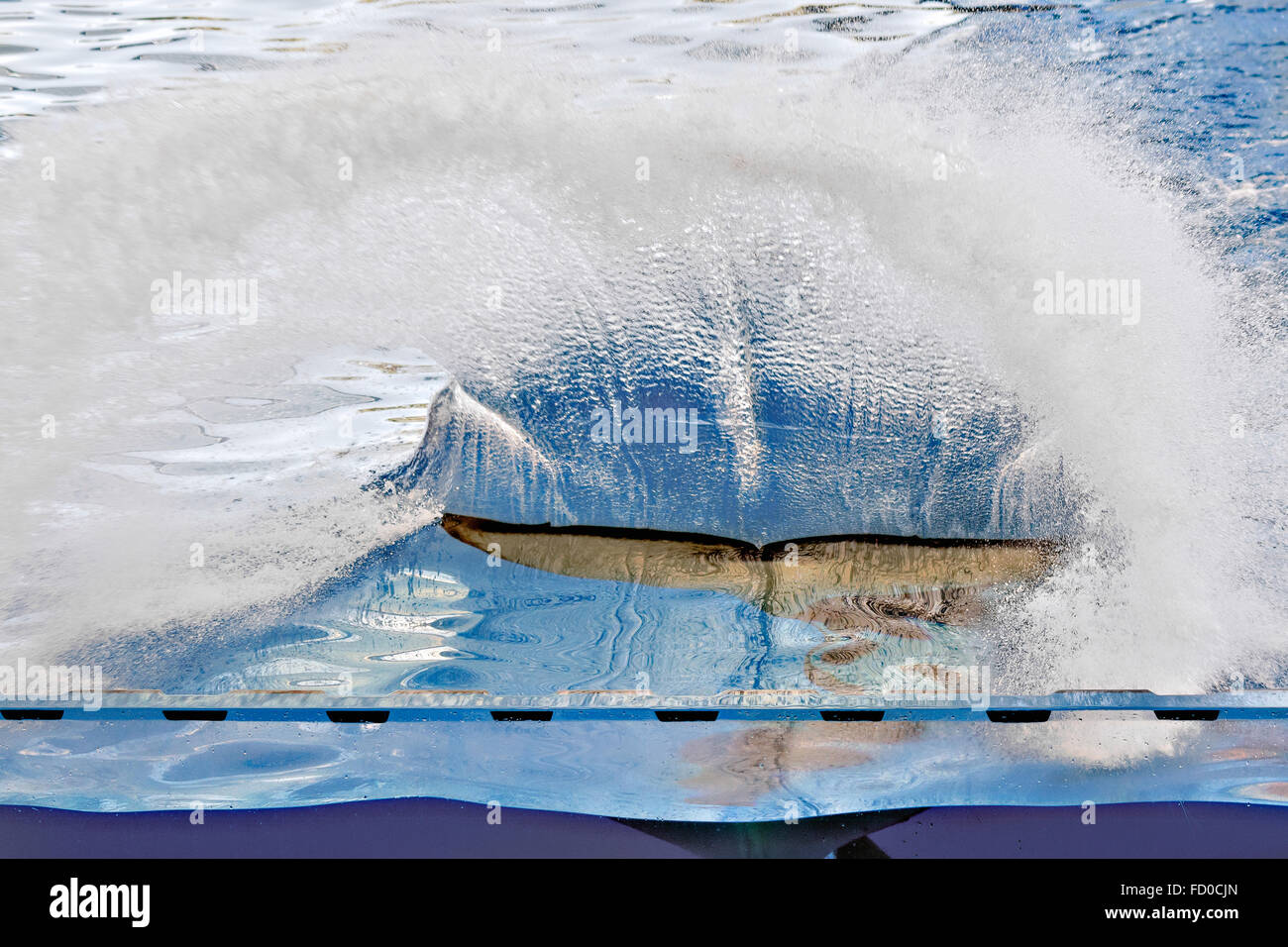 Killer whale making a splash Stock Photo - Alamy