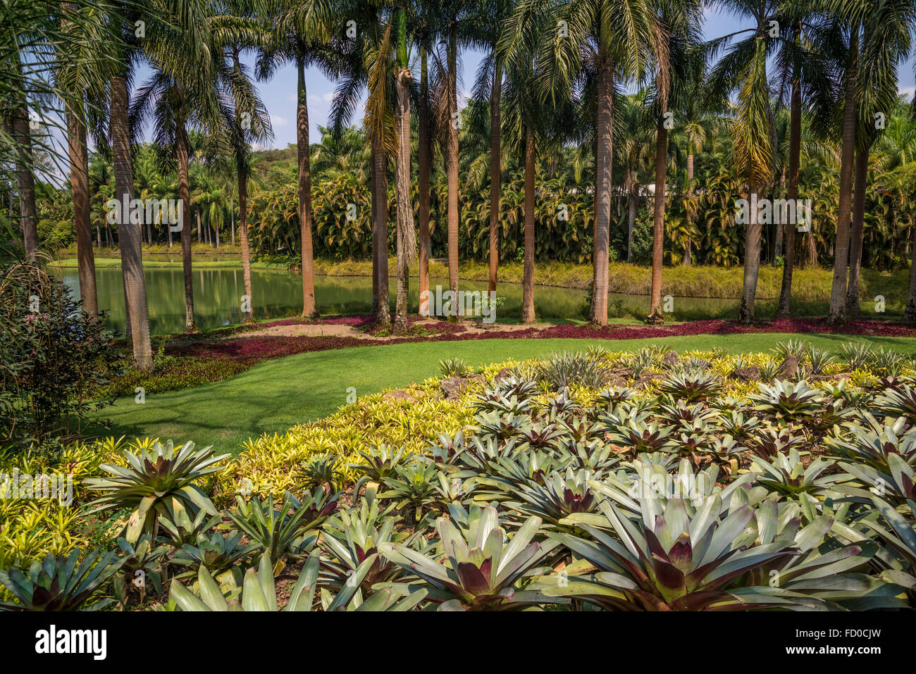 Inhotim botanical Garden and Contemporary art museum, Belo Horizonte ...
