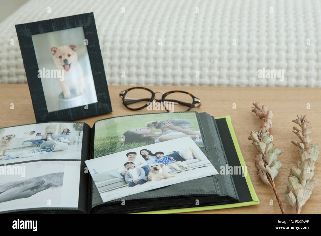 Family album hi-res stock photography and images - Alamy