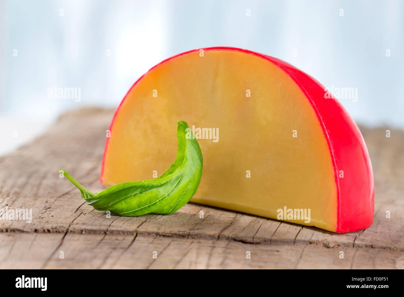 quarter part of Dutch Edam cheese Stock Photo - Alamy