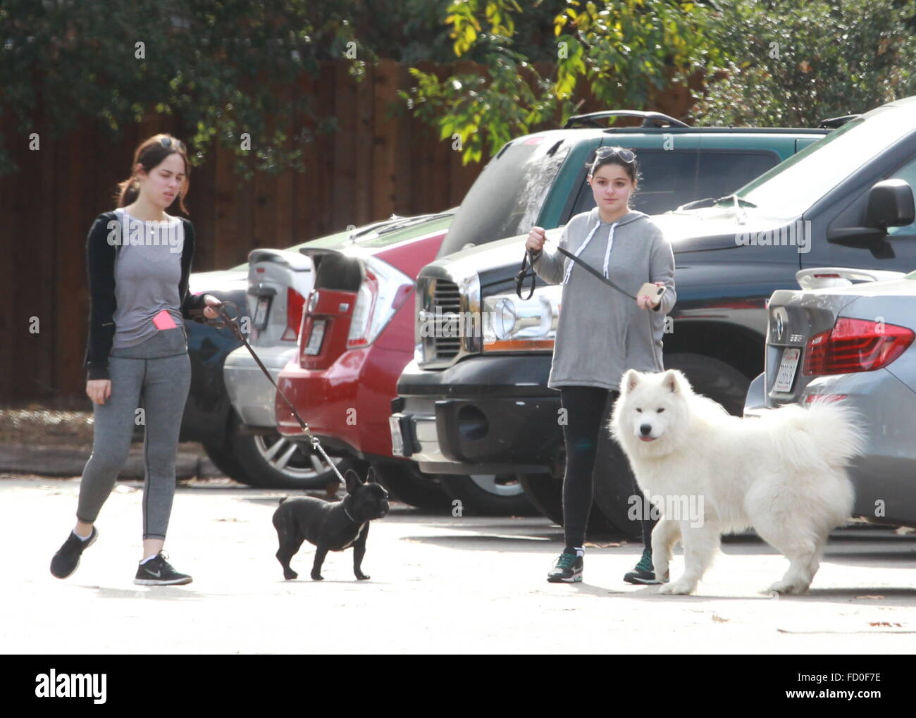 Ariel Winter goes hiking with her dog in Studio City on Christmas Eve ...