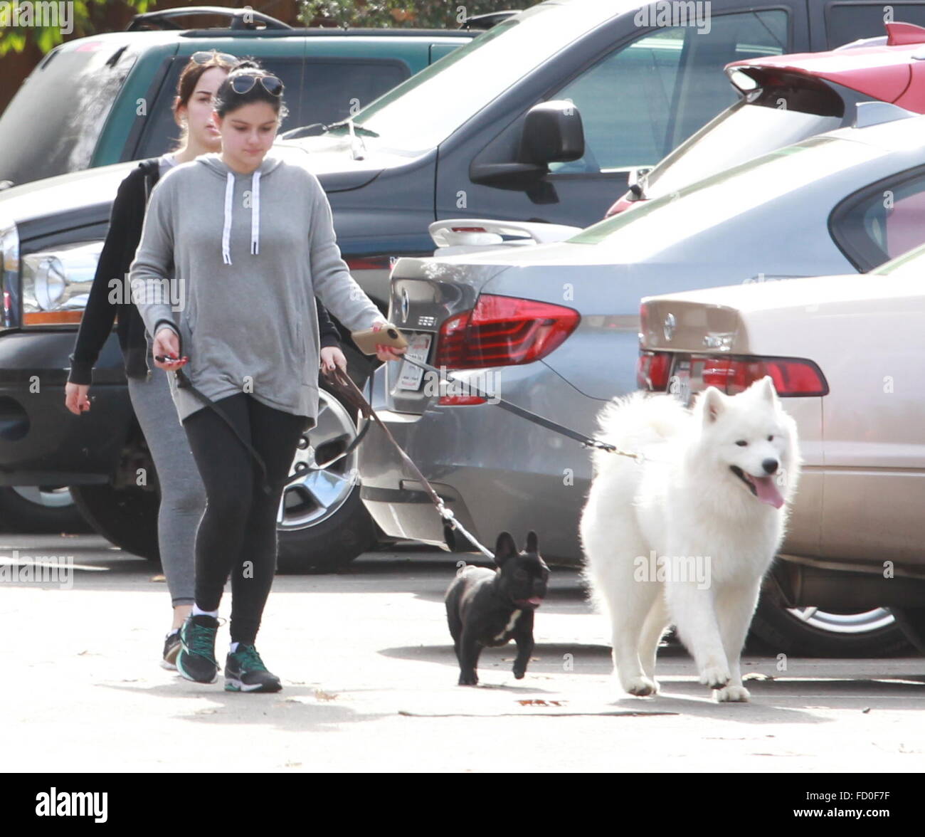 Ariel Winter goes hiking with her dog in Studio City on Christmas Eve ...