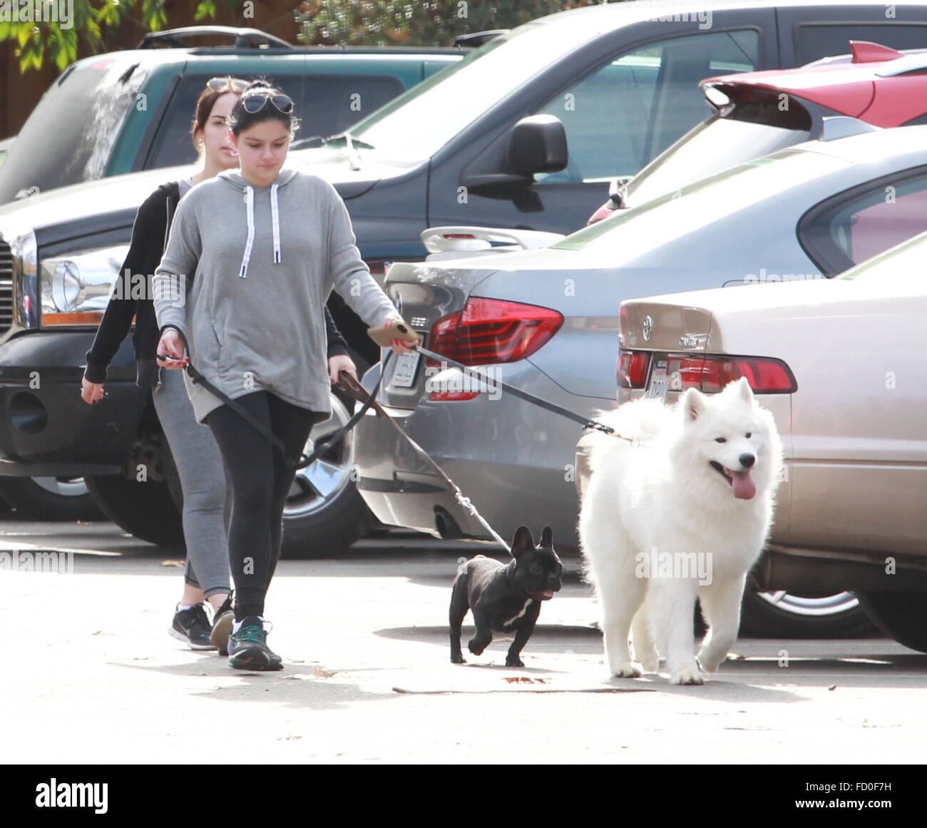 Ariel Winter goes hiking with her dog in Studio City on Christmas Eve ...