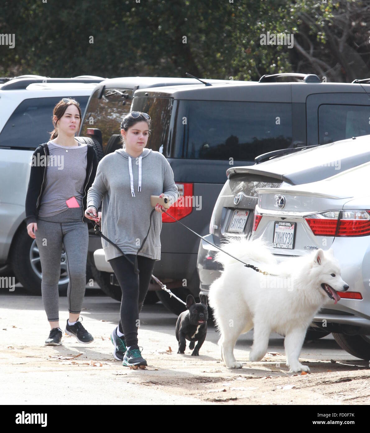 Ariel Winter goes hiking with her dog in Studio City on Christmas Eve ...