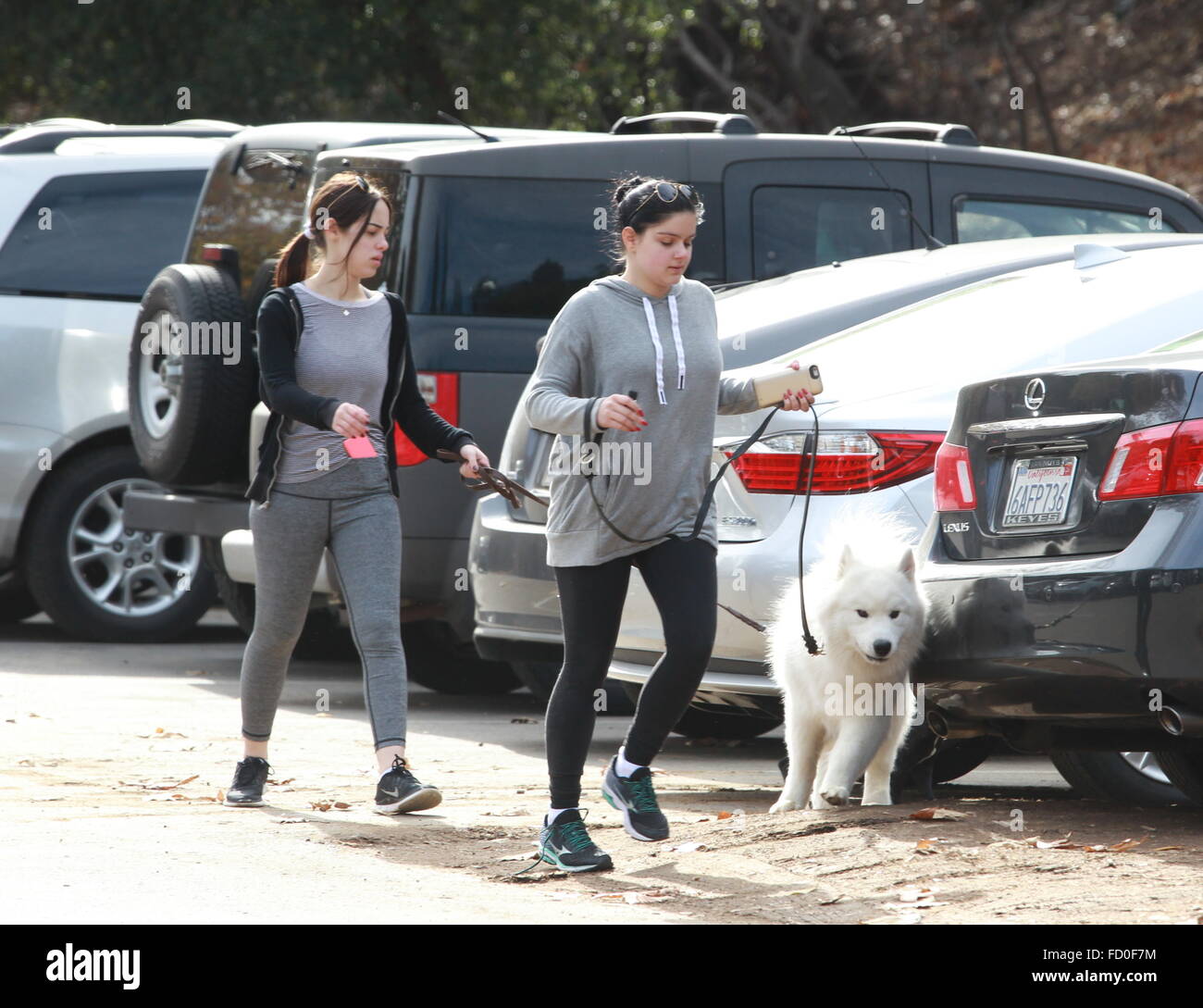 Ariel Winter goes hiking with her dog in Studio City on Christmas Eve ...