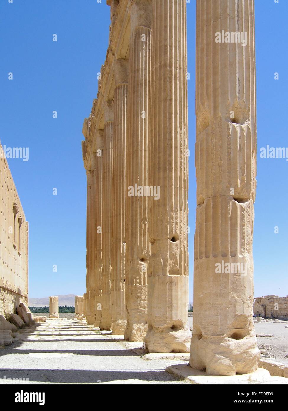 Prostyle of Corinthian columns surrounding the Temple of Bel in the ...