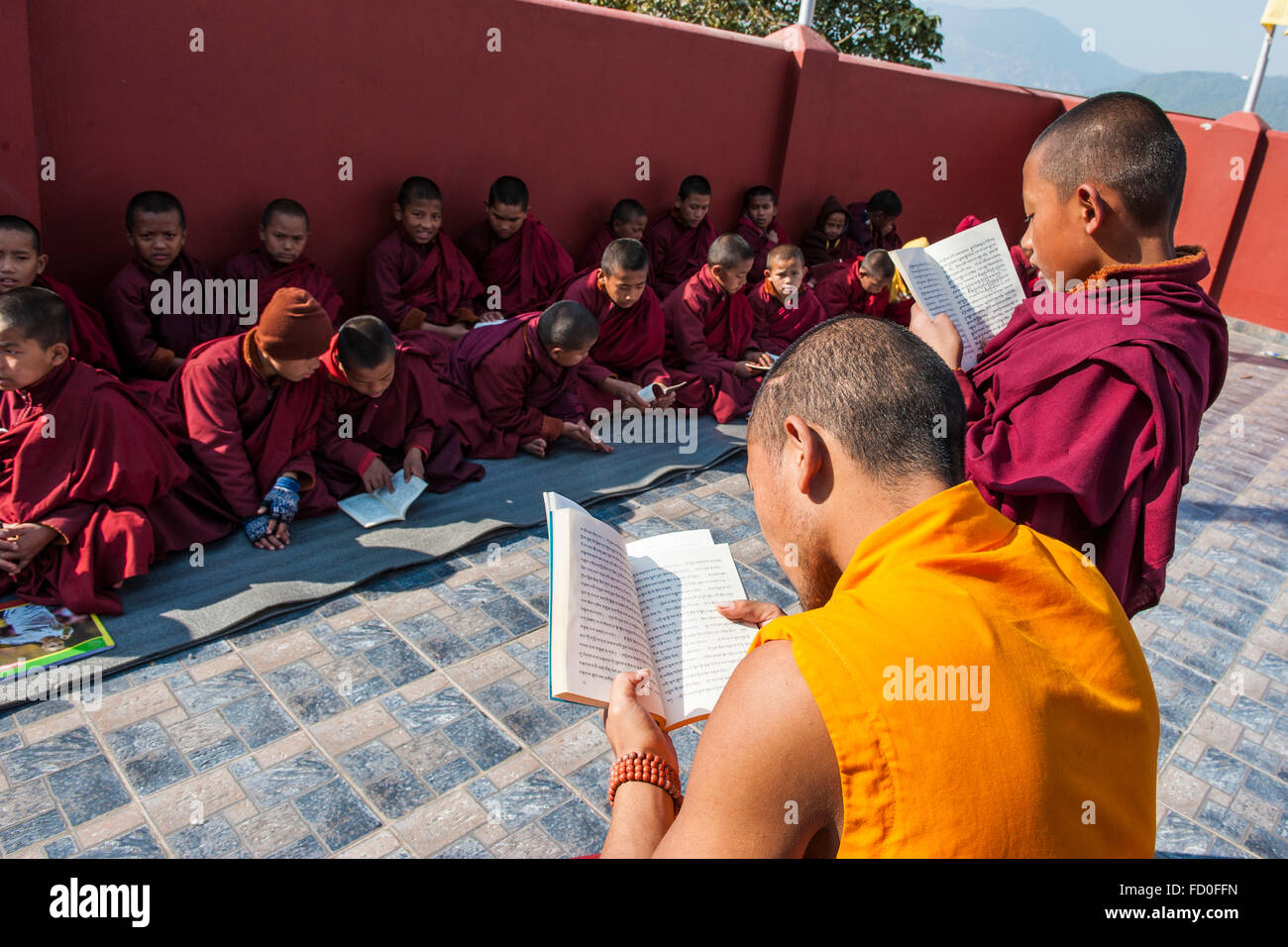 Nepal, Kopan monastery Stock Photo - Alamy