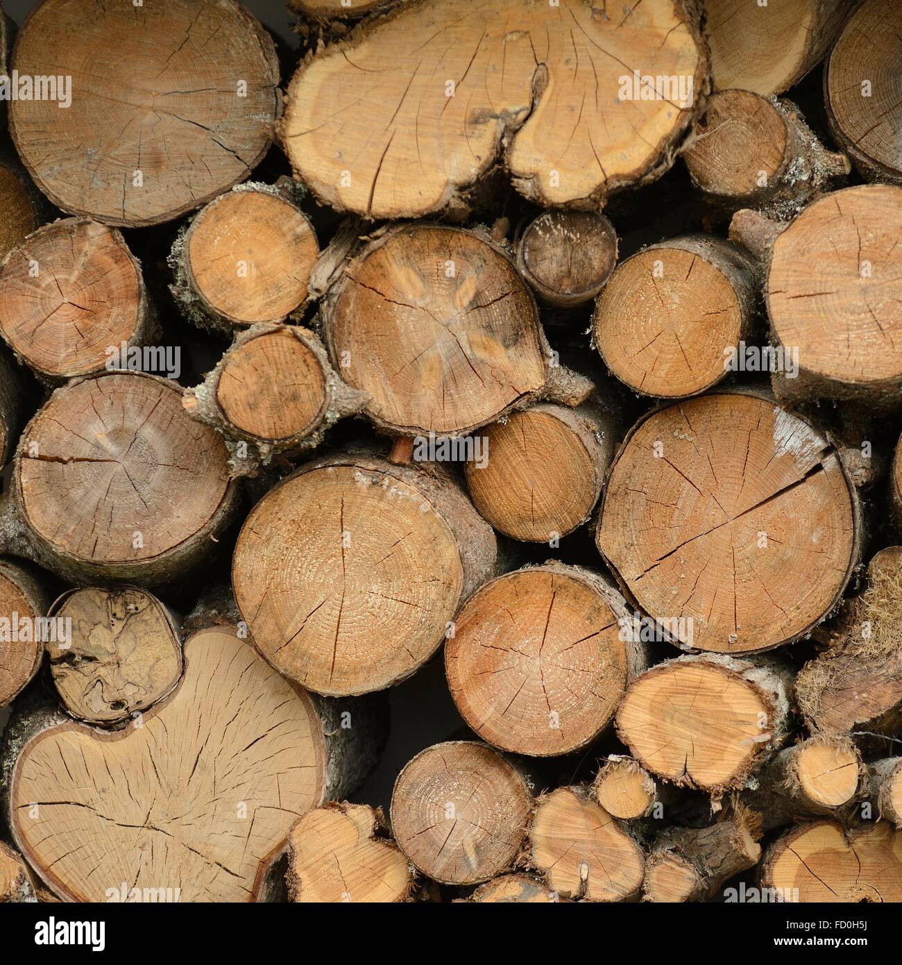 Short logs hi-res stock photography and images - Alamy