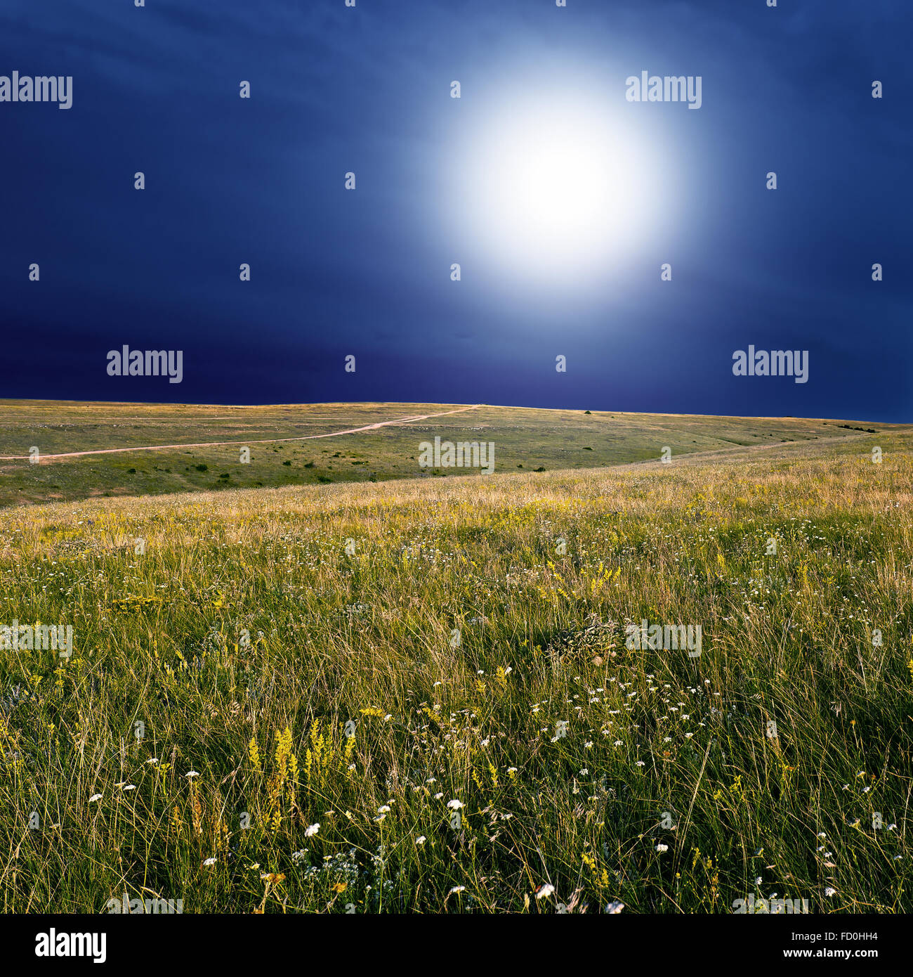 Large moon in the night sky over the wild steppe Stock Photo - Alamy