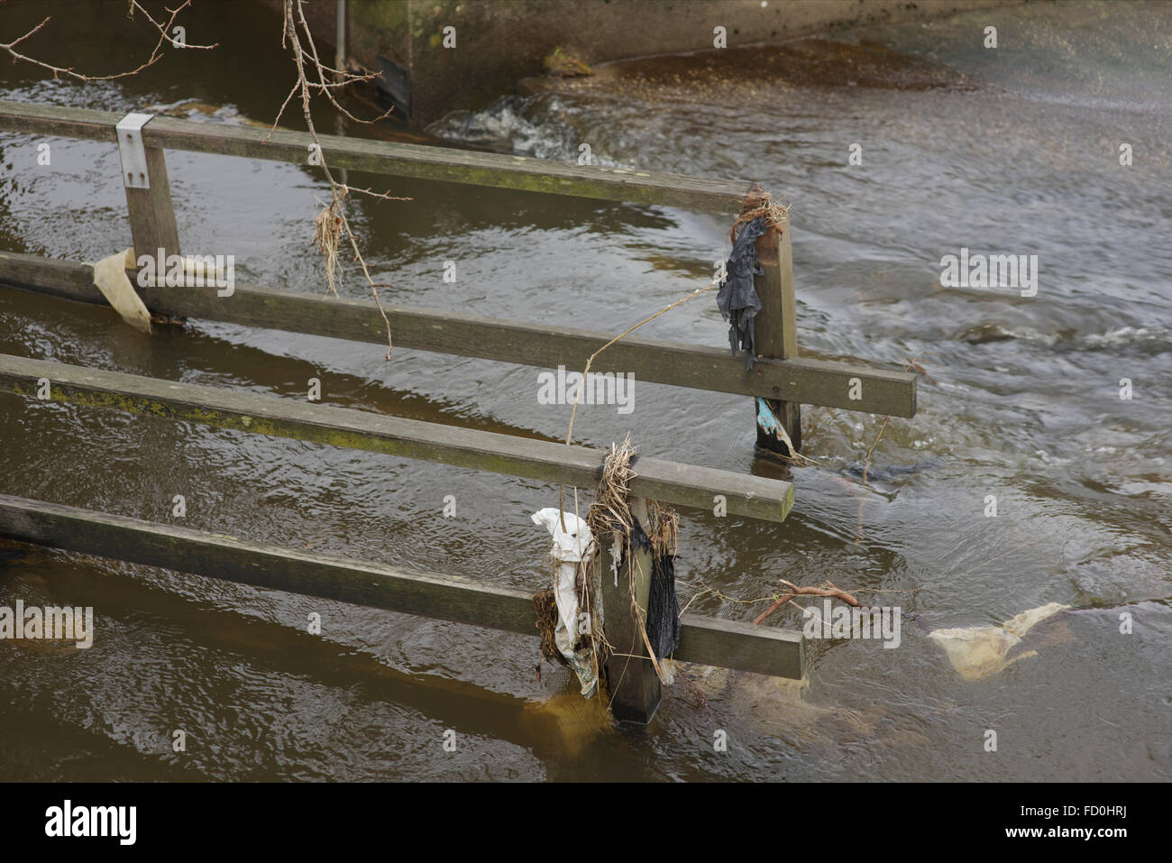 submerged footbridge in river irwell after flooding in ramsbottom ...