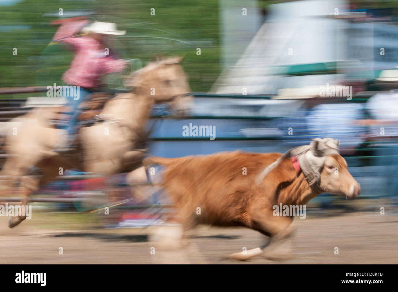 Dog Cowboy Horse Ride High Resolution Stock Photography and Images - Alamy