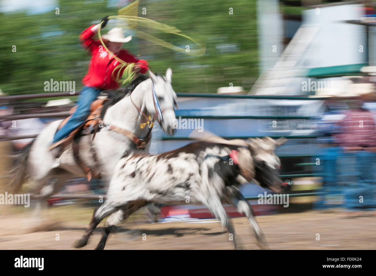 Dog Cowboy Horse Ride High Resolution Stock Photography and Images - Alamy