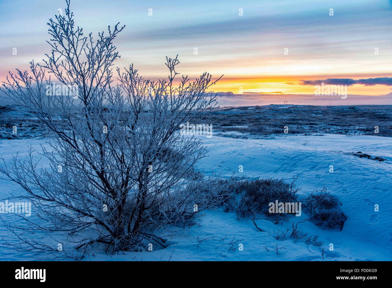Almannagjá fault hi-res stock photography and images - Alamy