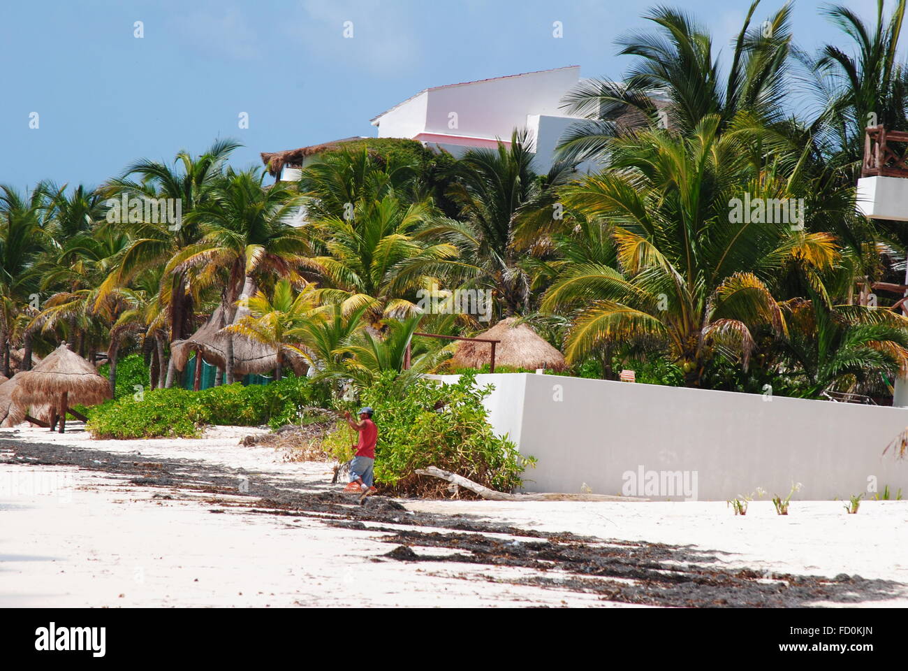 idyllic beach in Mexico Stock Photo - Alamy