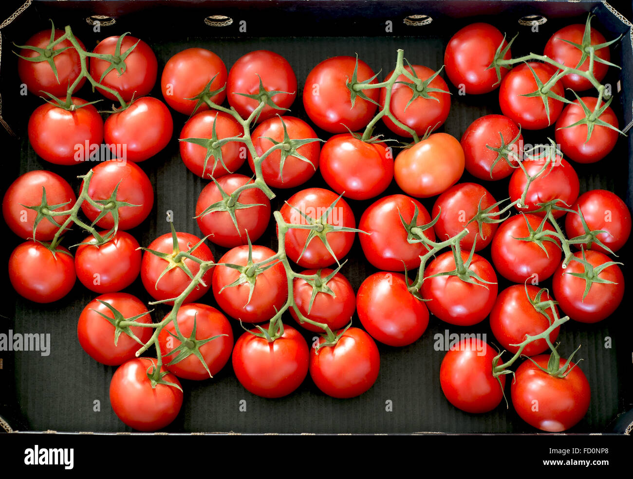 An isolated photo of truss tomatoes in the black box Stock Photo - Alamy