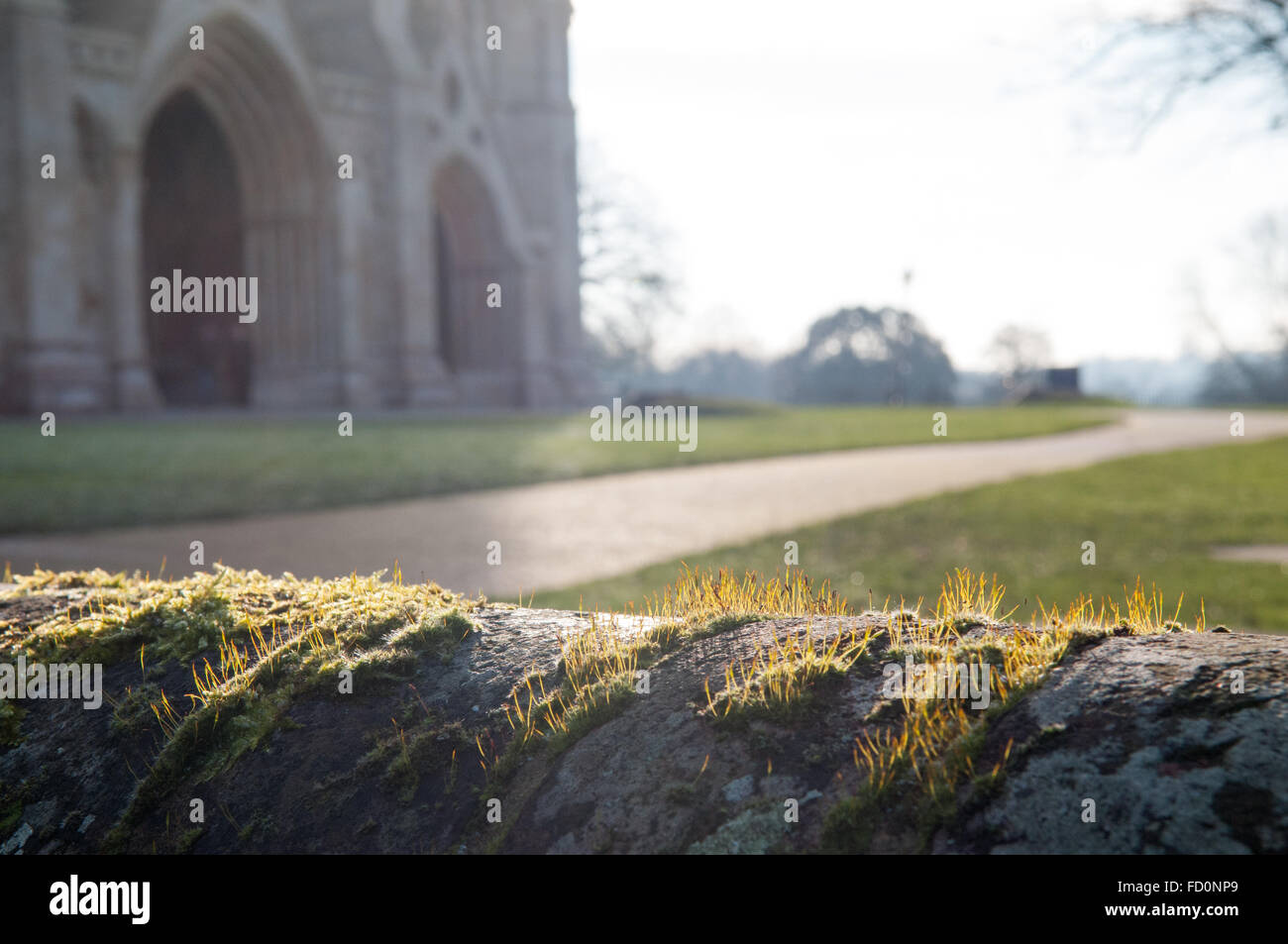 People looking over wall hi-res stock photography and images - Alamy