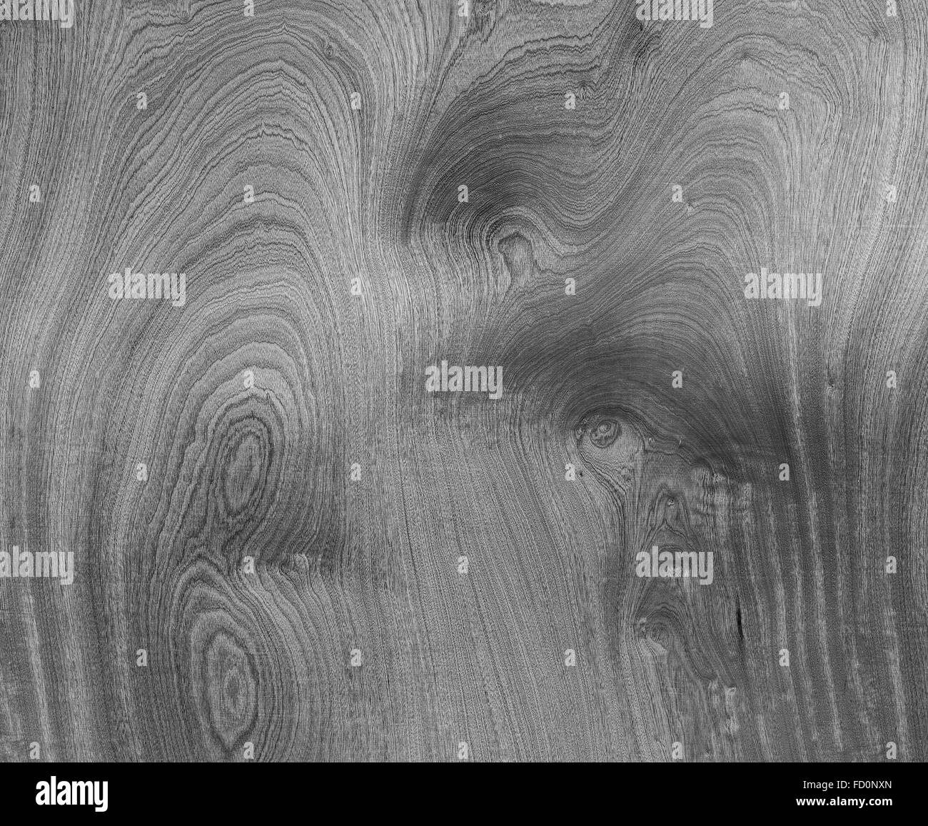 Wood texture grey silver beech grain pattern veneer abstract natural ...