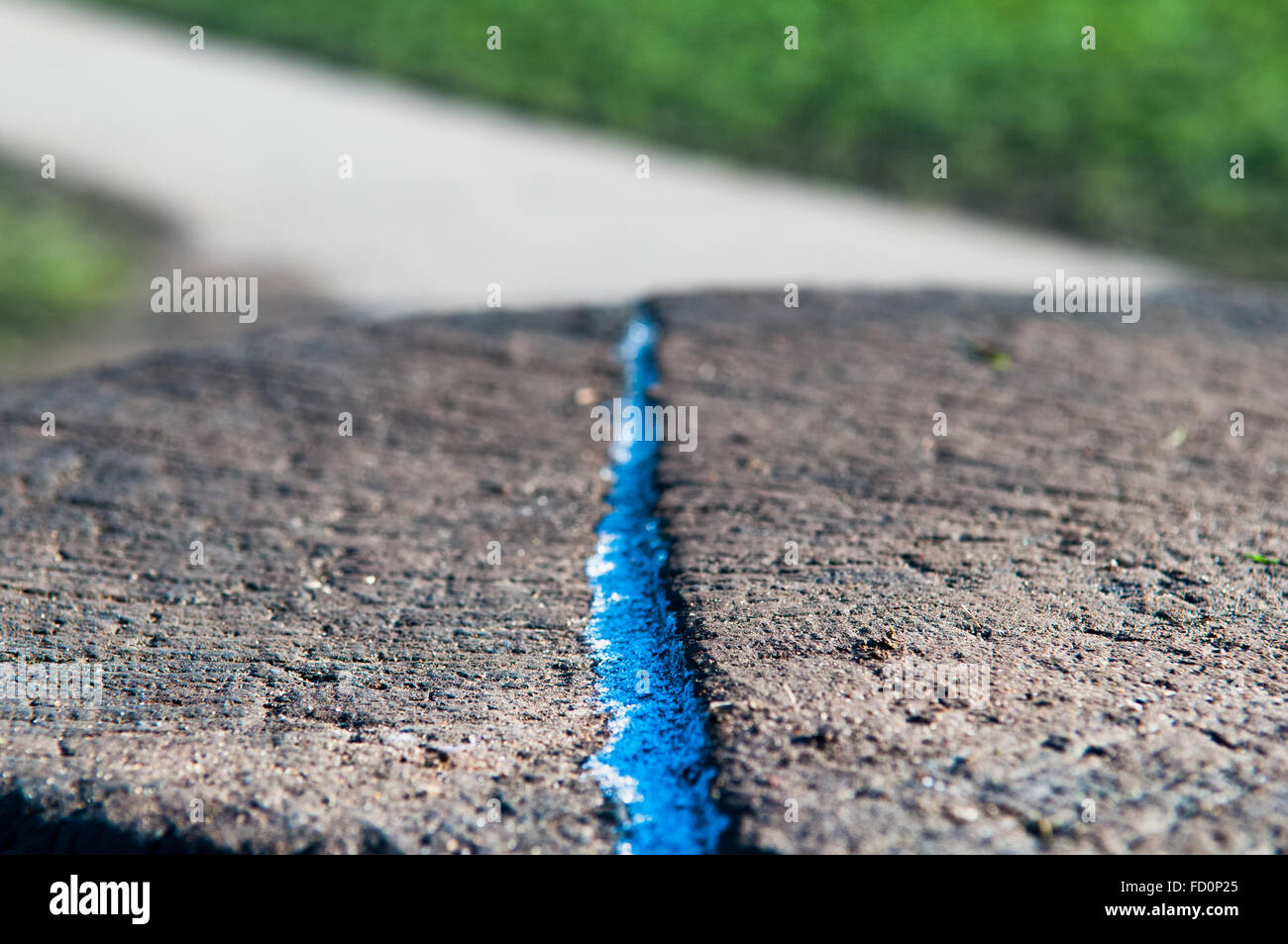 Ridge tree line hi-res stock photography and images - Alamy