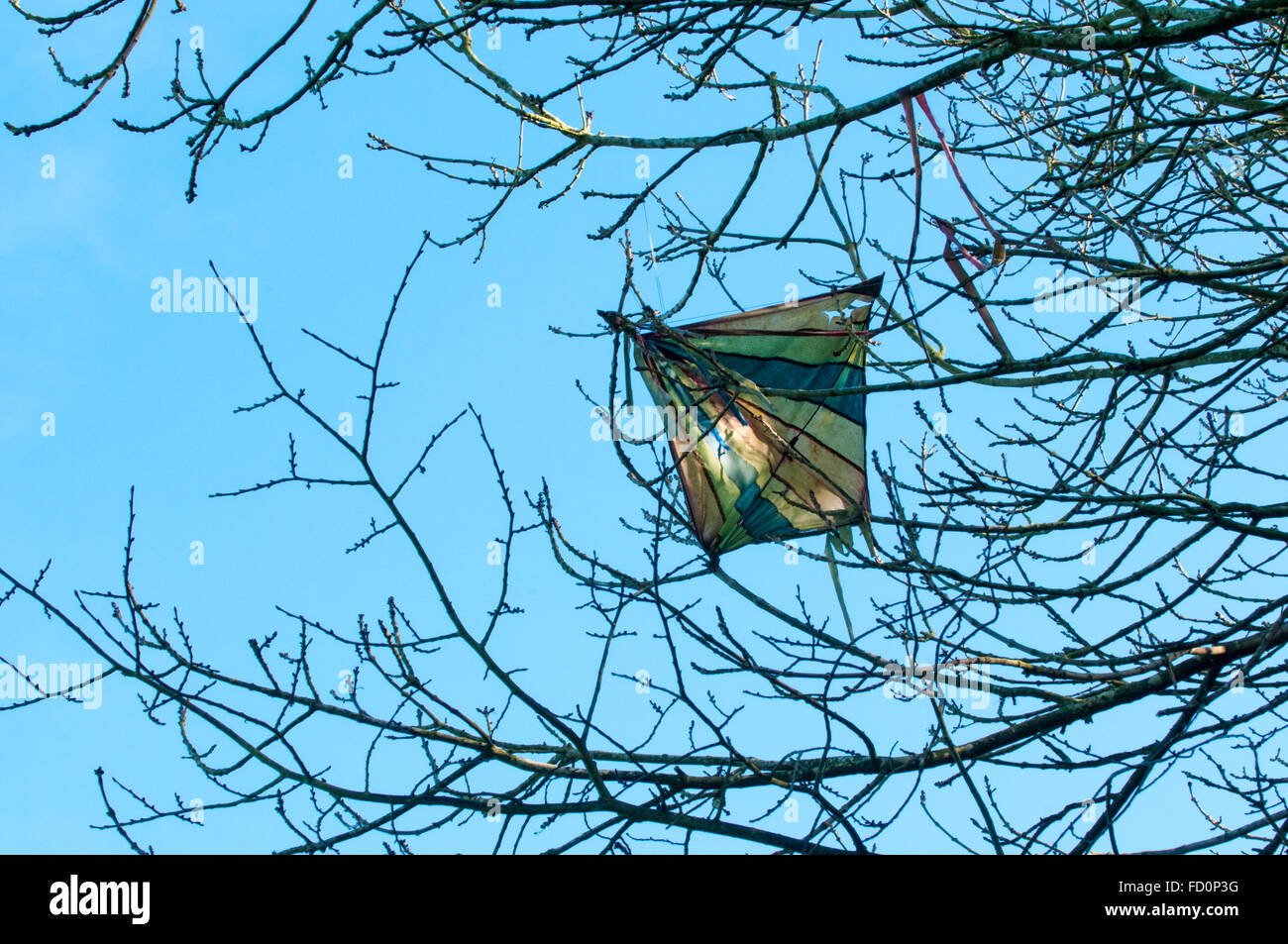 Kite stuck in tree hi-res stock photography and images - Alamy