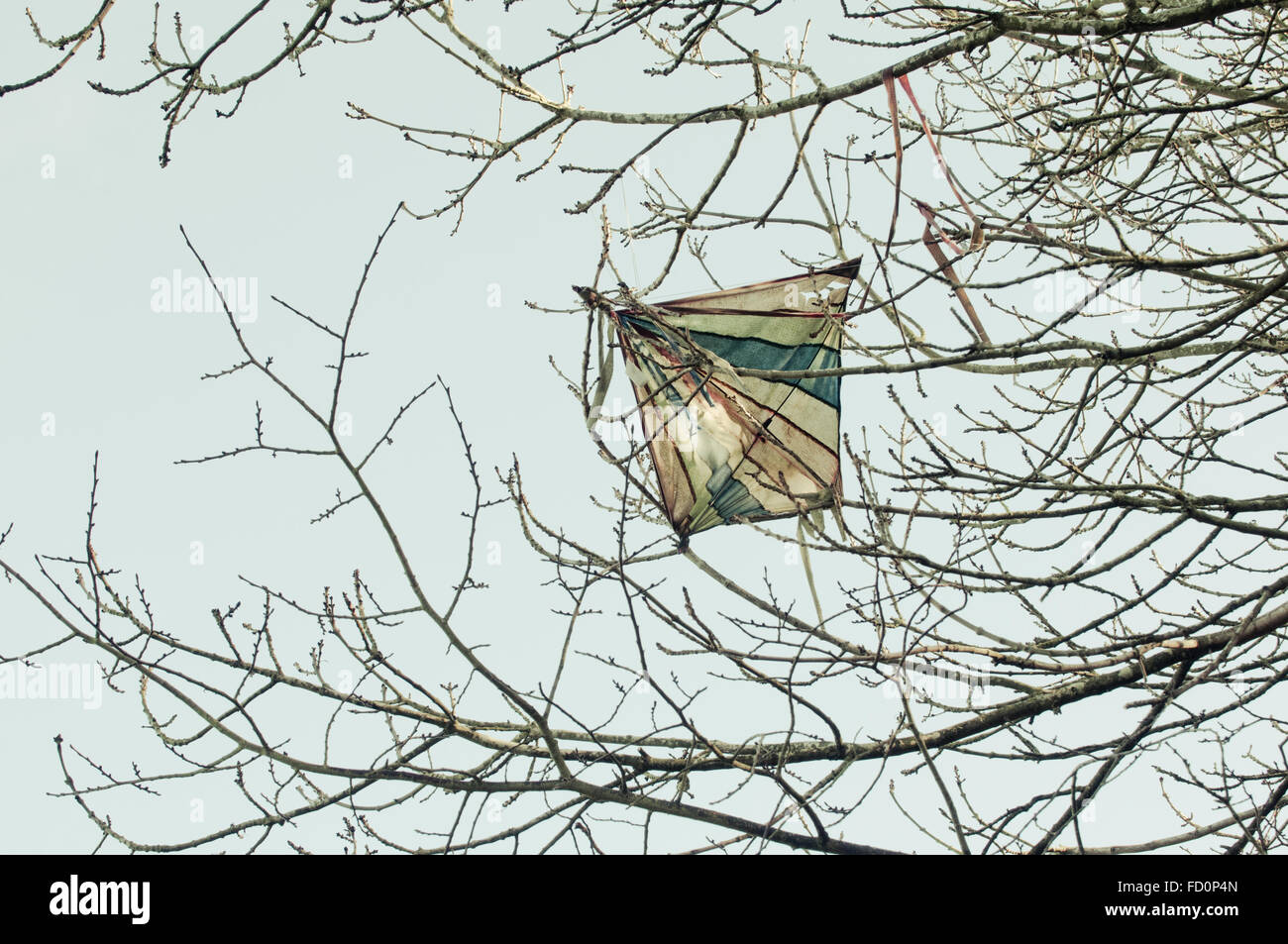 Kite stuck in tree hi-res stock photography and images - Alamy
