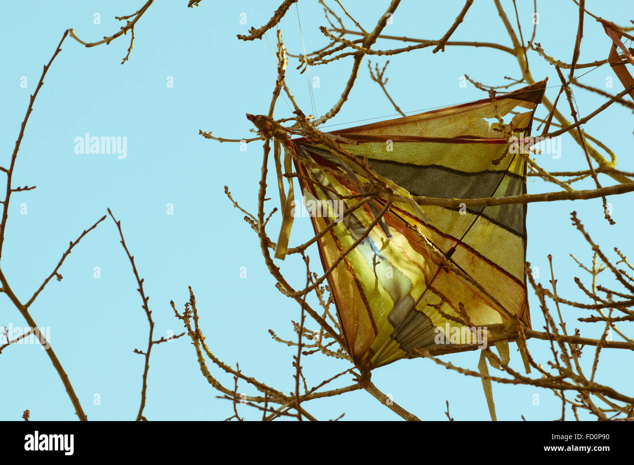 Kite stuck in tree hi-res stock photography and images - Alamy