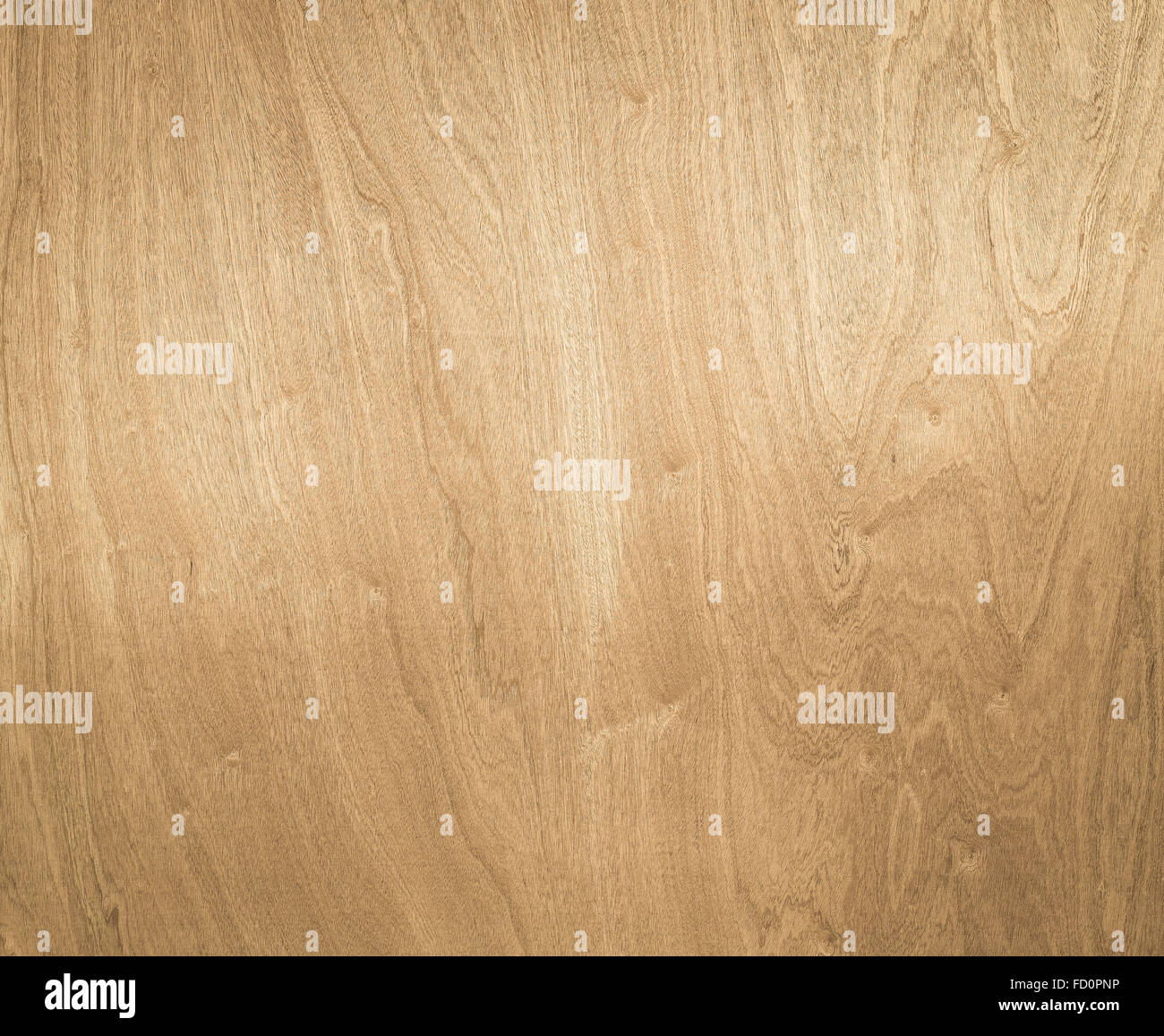 Wood texture light beech grain pattern veneer abstract natural ...