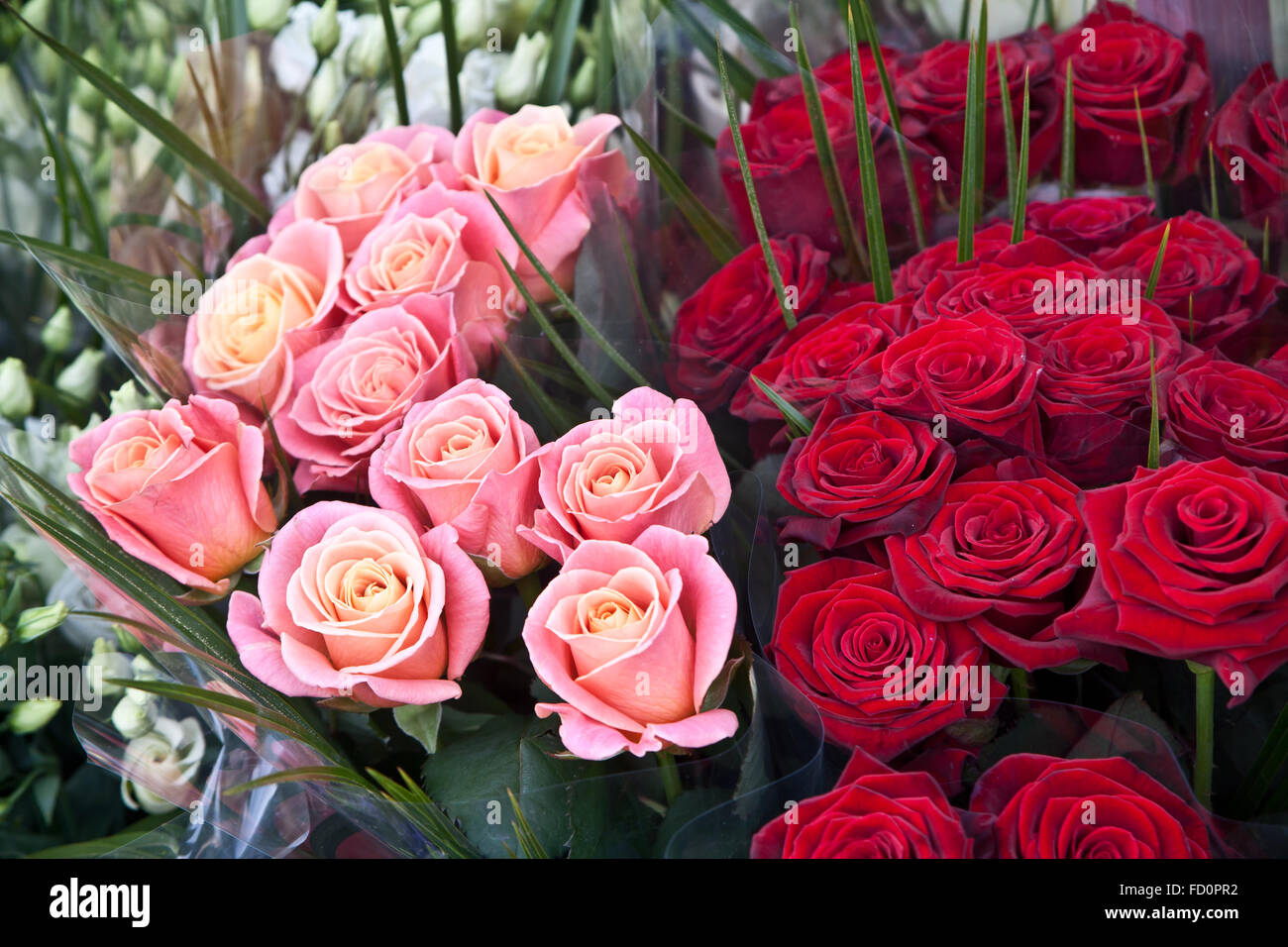 Red and pink roses at Columbia Road flower market, London Stock Photo ...