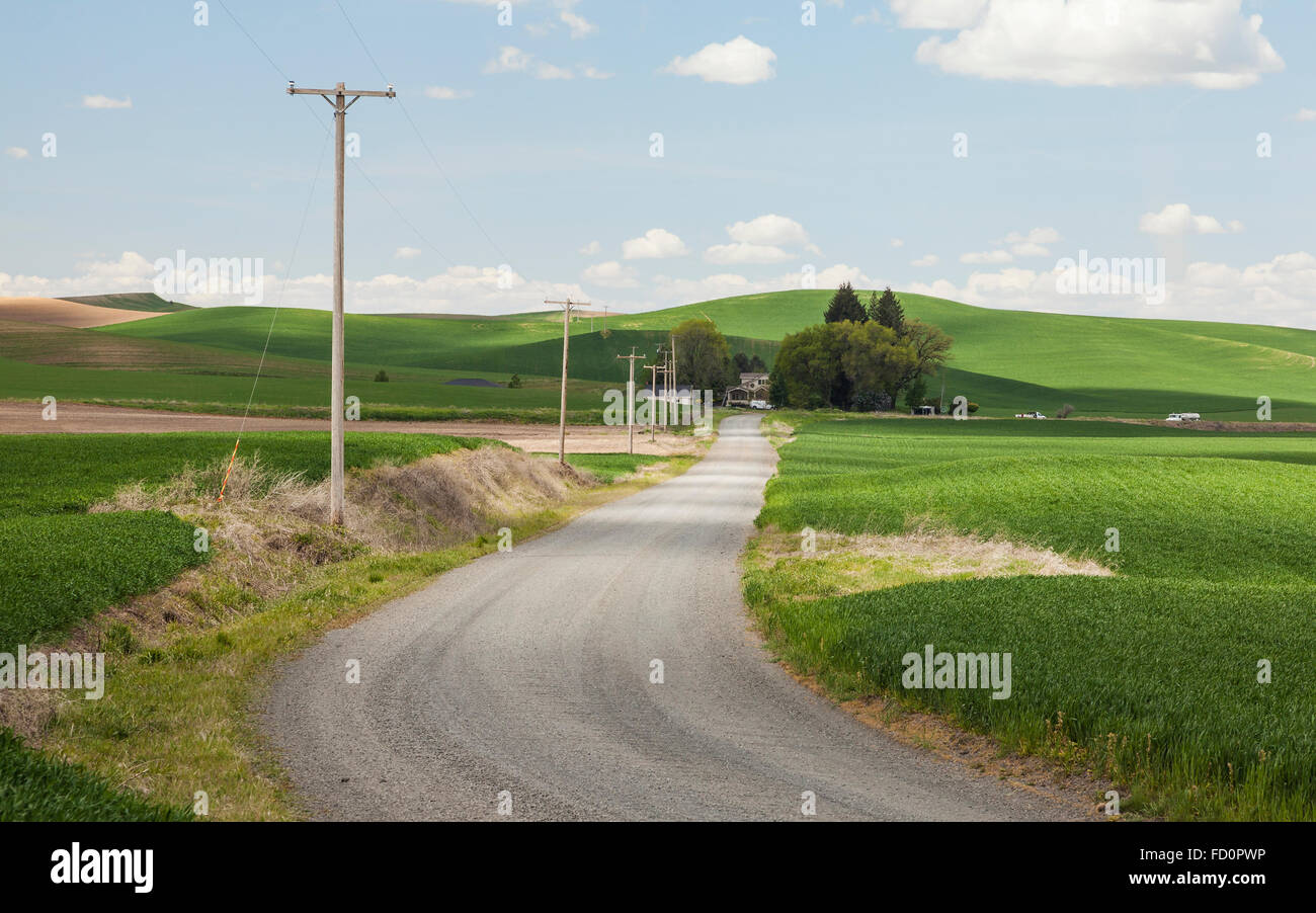 Gravel road through farm fields hi-res stock photography and images - Alamy