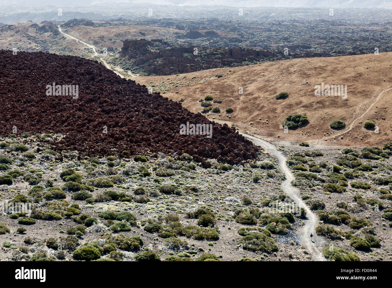 Inhospitable landscape of the Mount Teide Caldera Stock Photo - Alamy