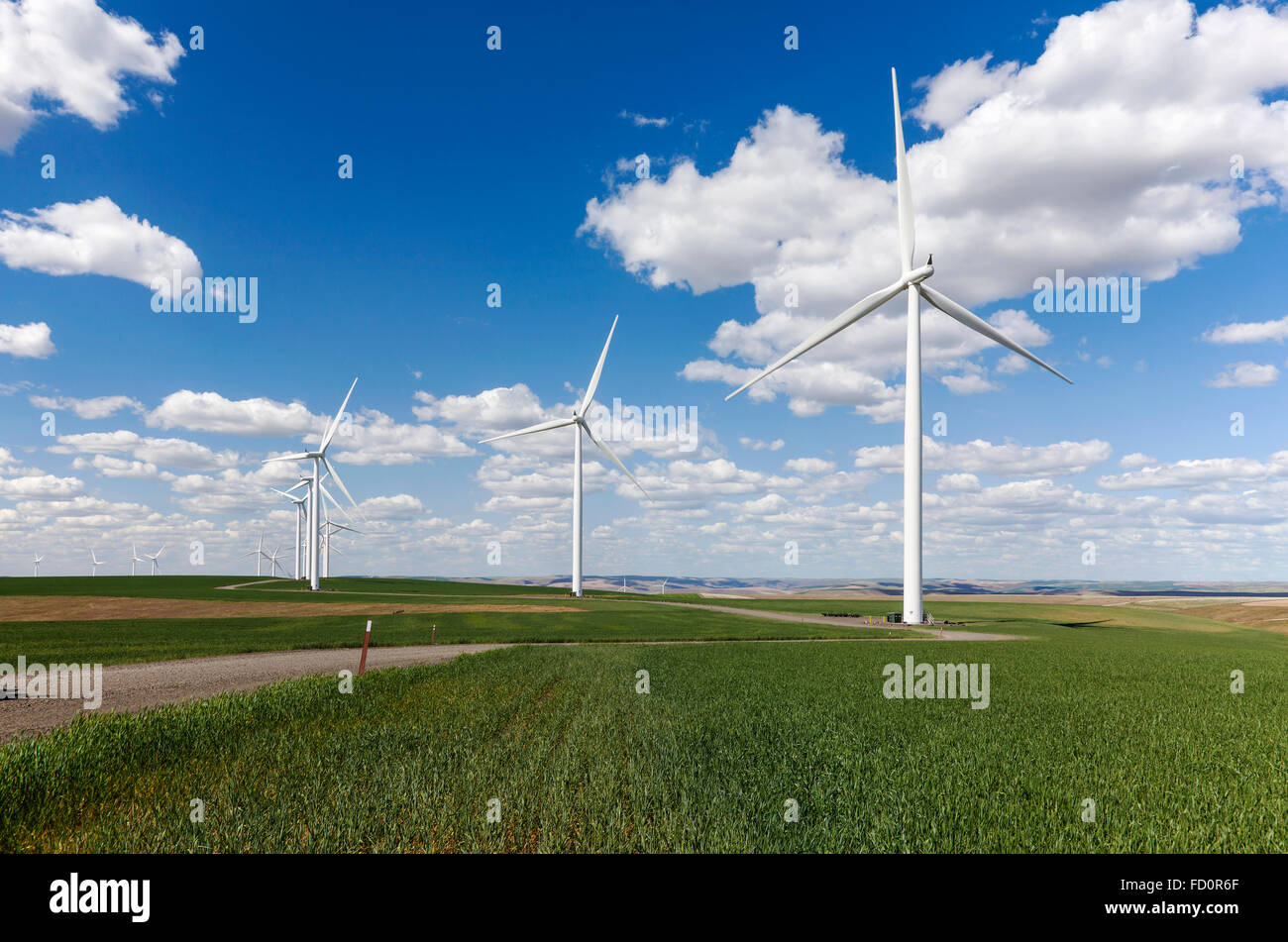Multi turbine wind farm hi-res stock photography and images - Alamy