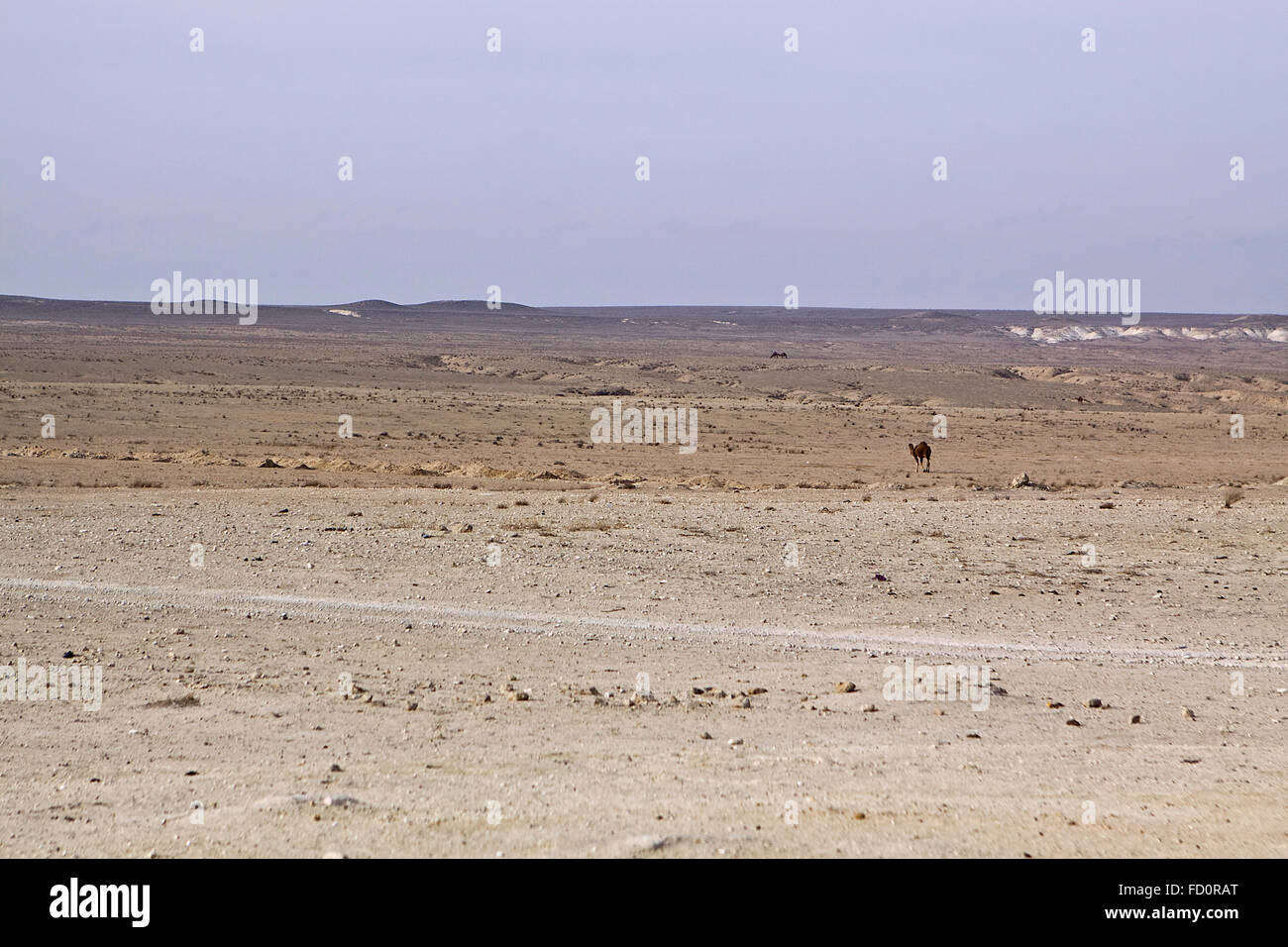 Turkmenistan, Soviet, Countryside, Desert, Karakum Stock Photo - Alamy