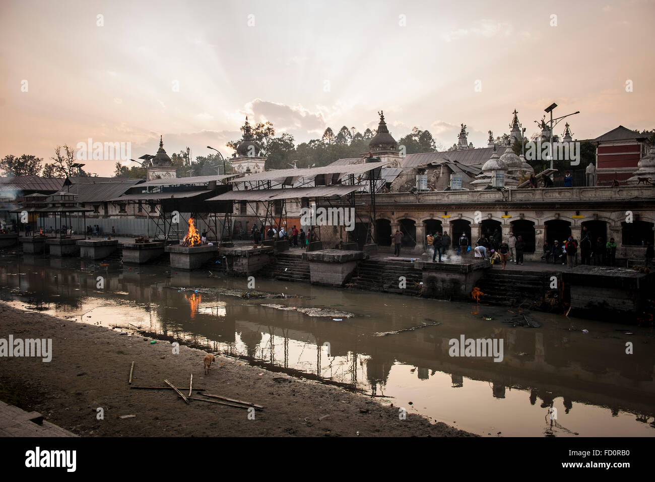 Nepal, Kathmandu, Pashupatinath, cremation funeral Stock Photo - Alamy