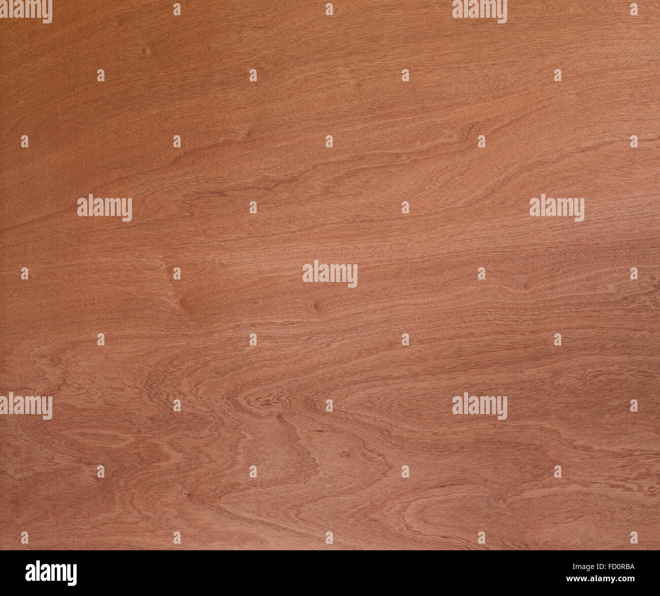Wood texture beech grain pattern veneer abstract natural background ...