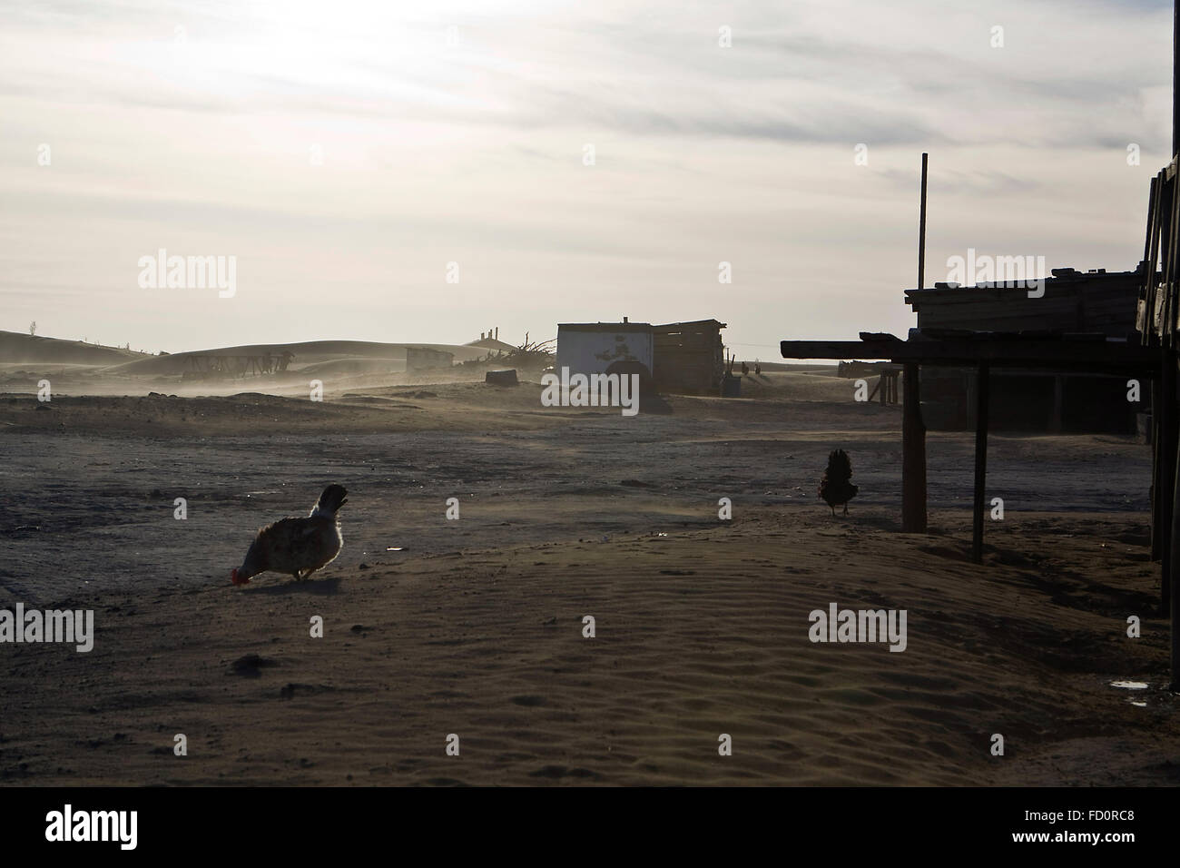 Karakum hi-res stock photography and images - Alamy