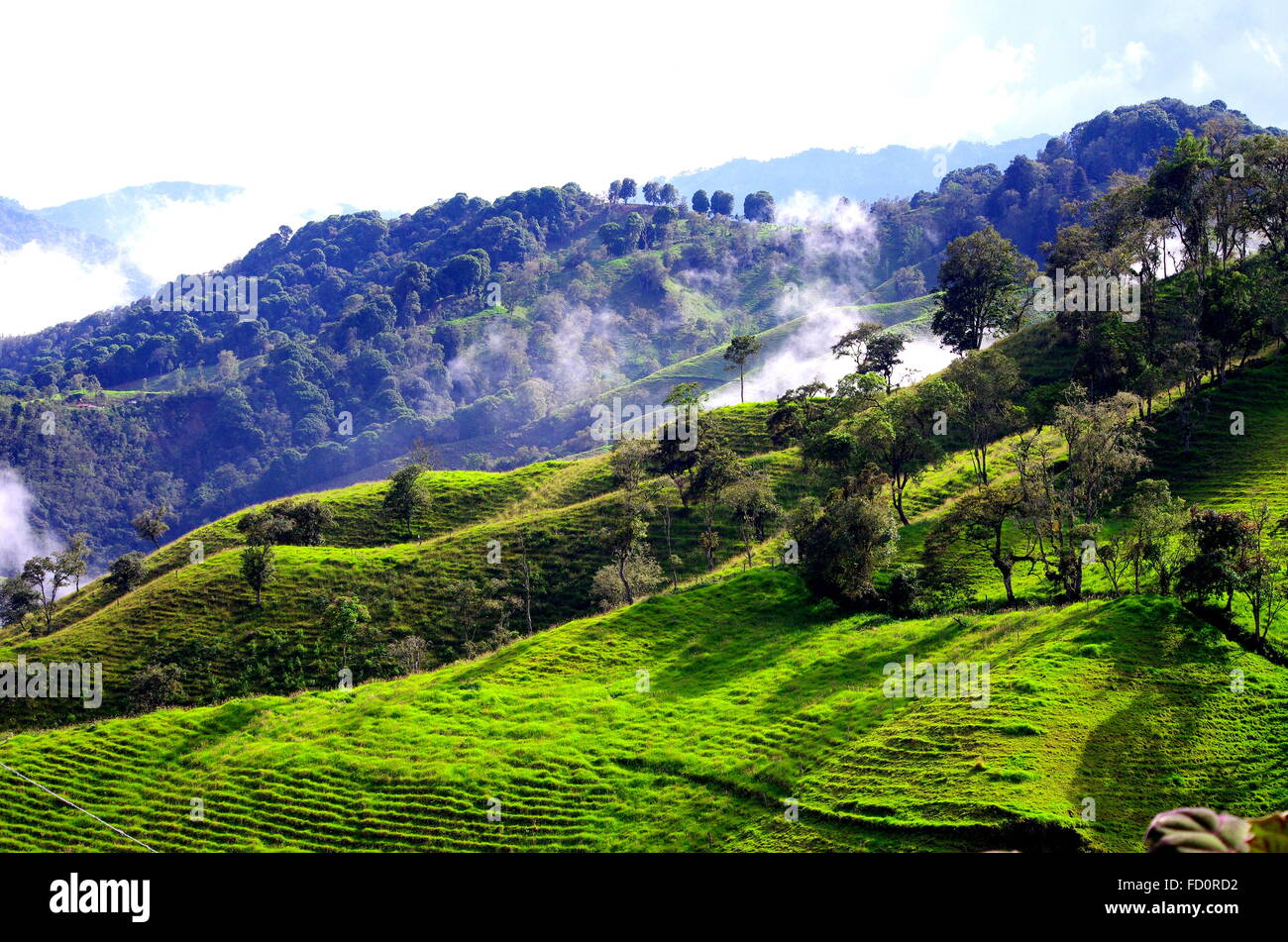 Colombia countryside hi-res stock photography and images - Alamy