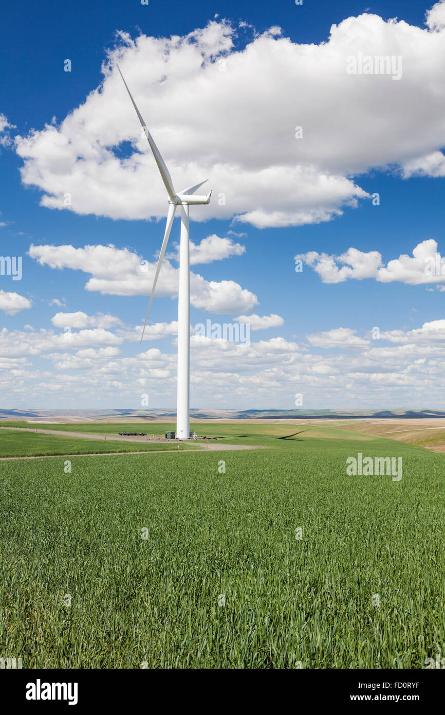 Multi turbine wind farm hi-res stock photography and images - Alamy