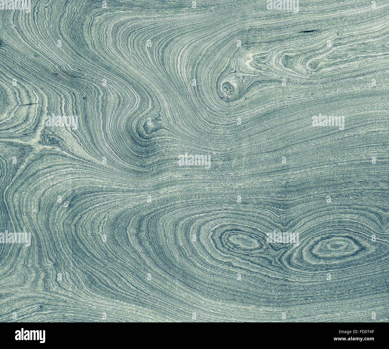 Wood texture green beech grain pattern veneer abstract natural ...