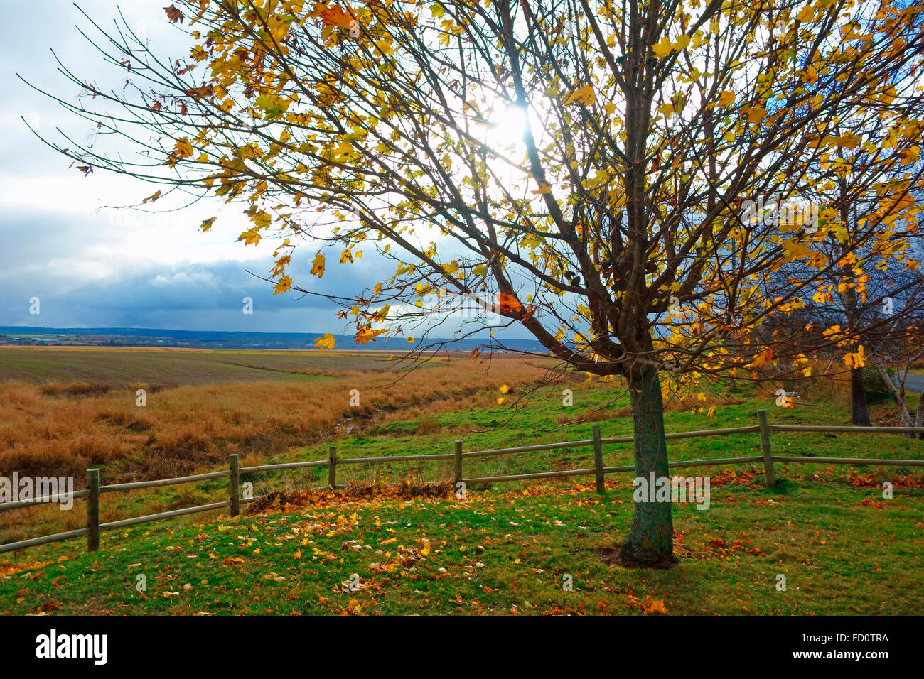 Grand Pre landscape in Nova Scotia, Canada Stock Photo - Alamy