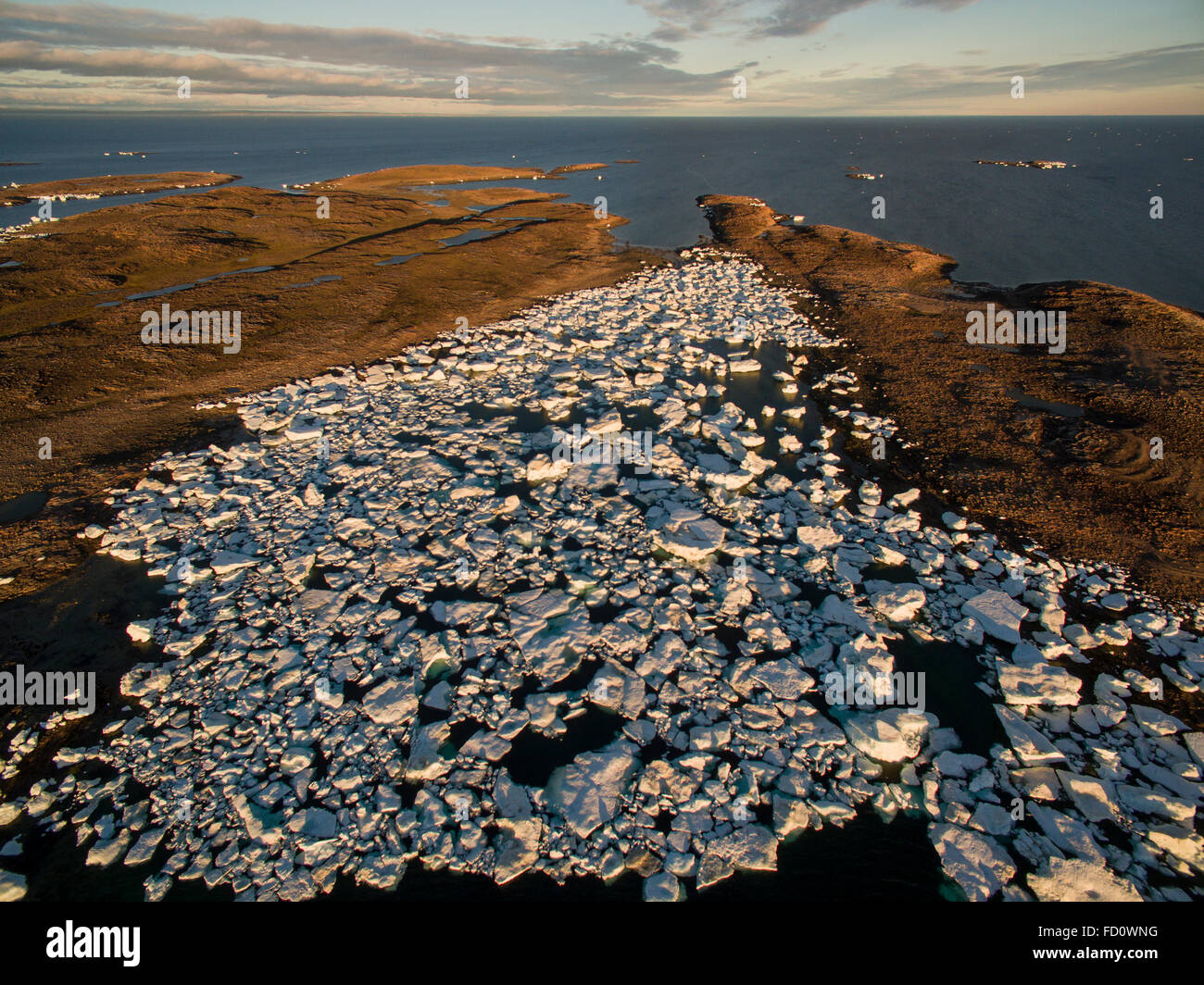 Foxe Basin Repulse Bay