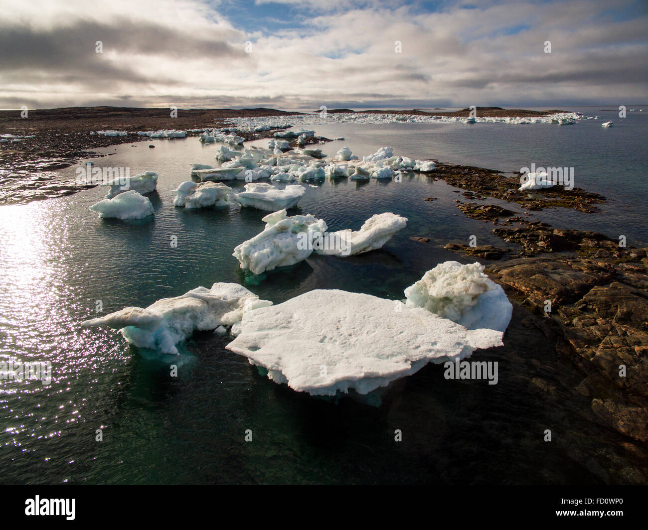 Foxe Basin Repulse Bay