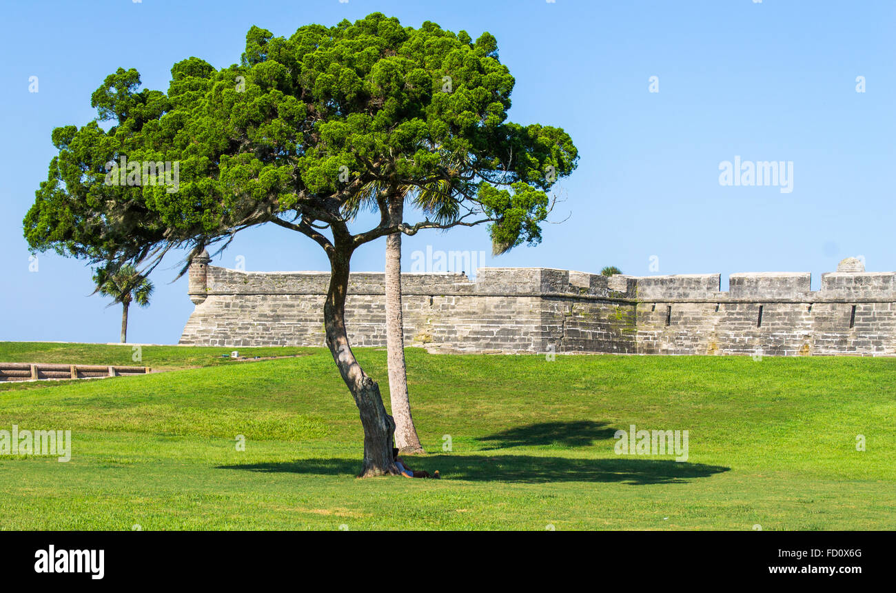 A person resting under a tree Stock Photo - Alamy