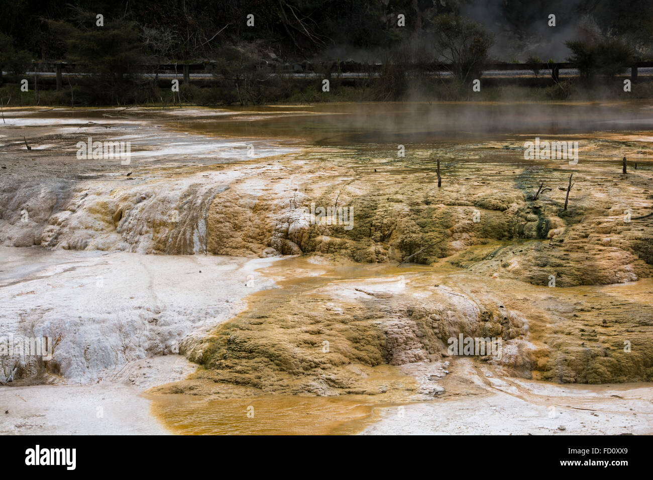 The Marble Terraces in the Waimangu Volcanic Valley on the North Island ...