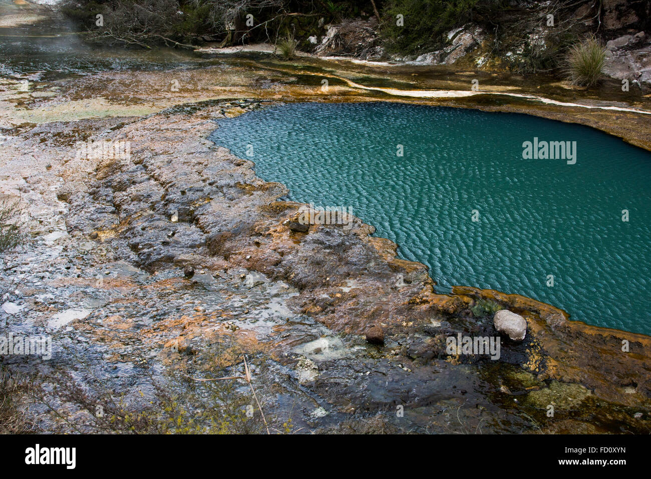 The Blue Lake is a hot spring delivering silica rich water that build ...