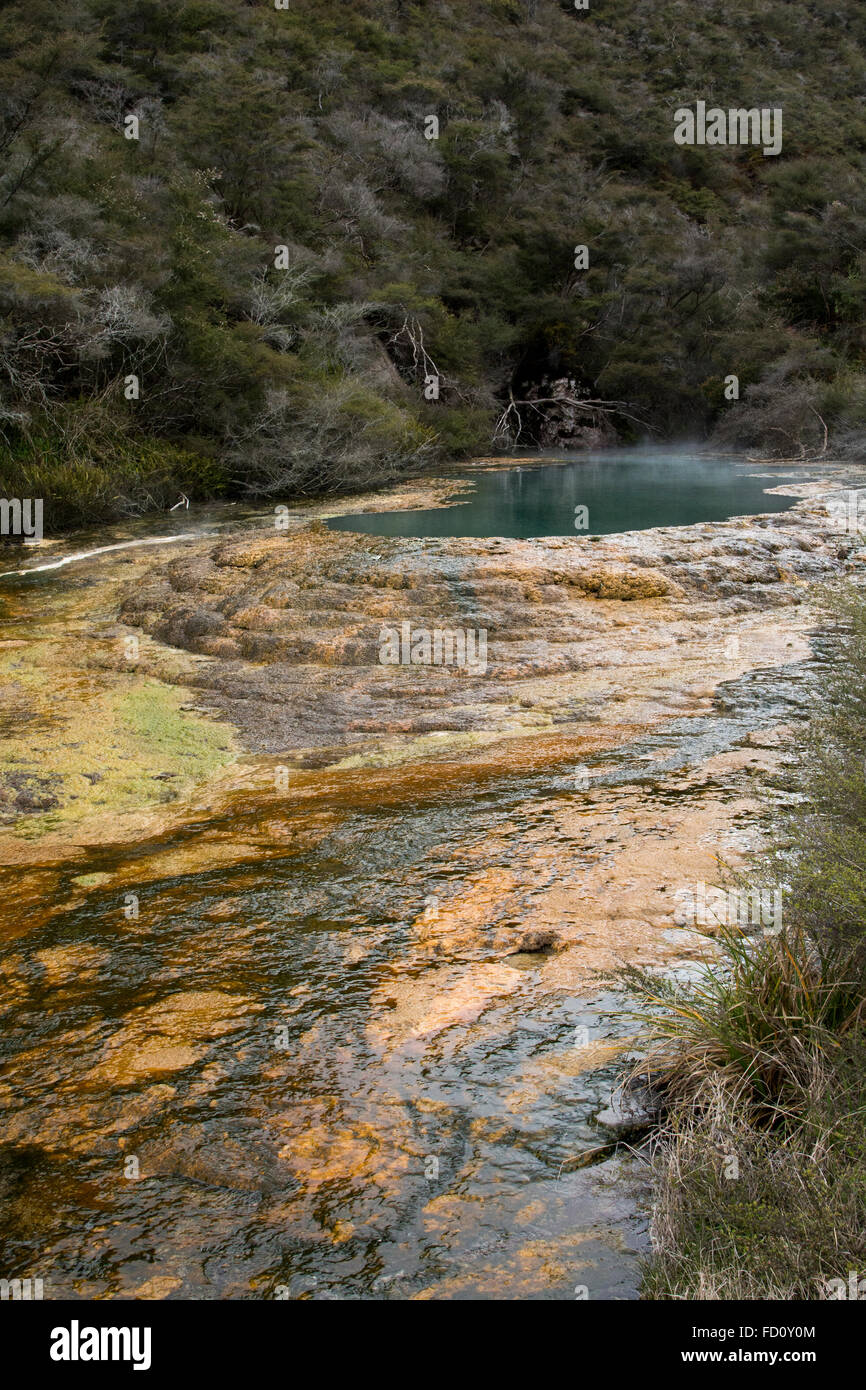The Blue Lake is a hot spring delivering silica rich water that build ...