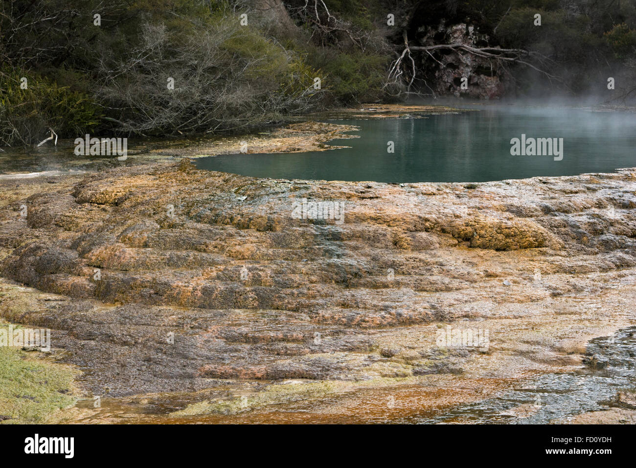 The Blue Lake is a hot spring delivering silica rich water that build ...