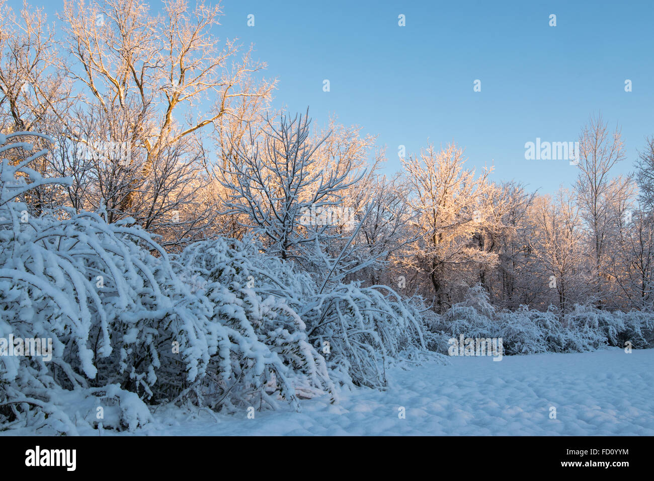 Jake winter hi-res stock photography and images - Alamy
