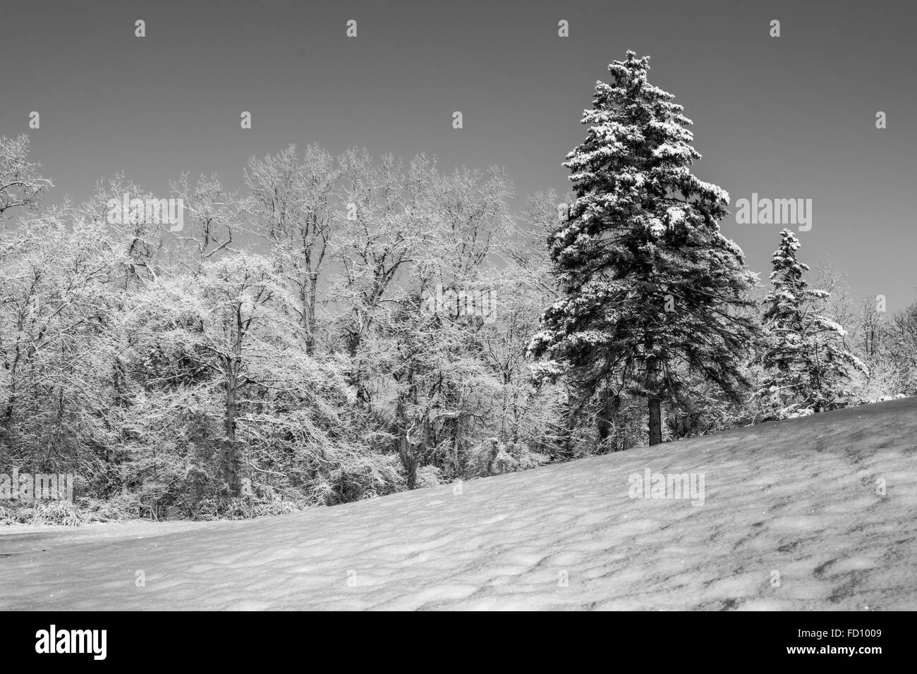 Jake winter Black and White Stock Photos & Images - Alamy