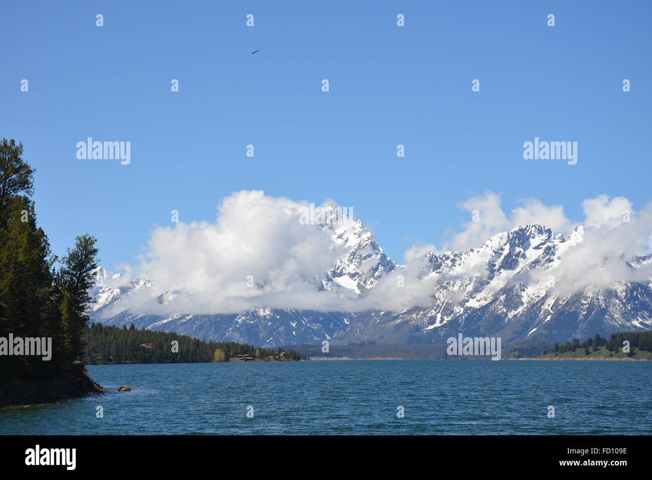 Jackson Lake in the Grand Tetons. Beautiful shoreline with the snow ...