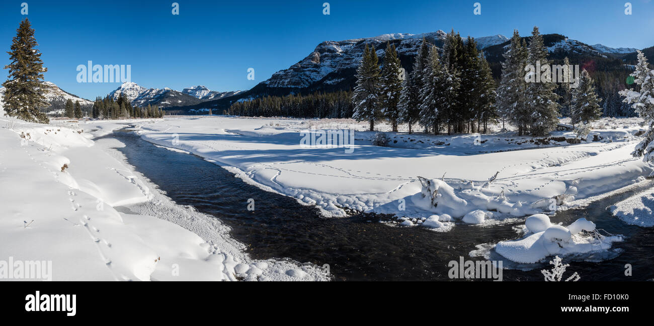 Lamar valley yellowstone national park wyoming usa hi-res stock ...